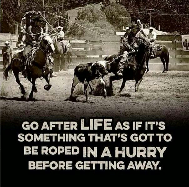 How do you go after life? | Team roping, Rodeo cowboys, Horse quotes